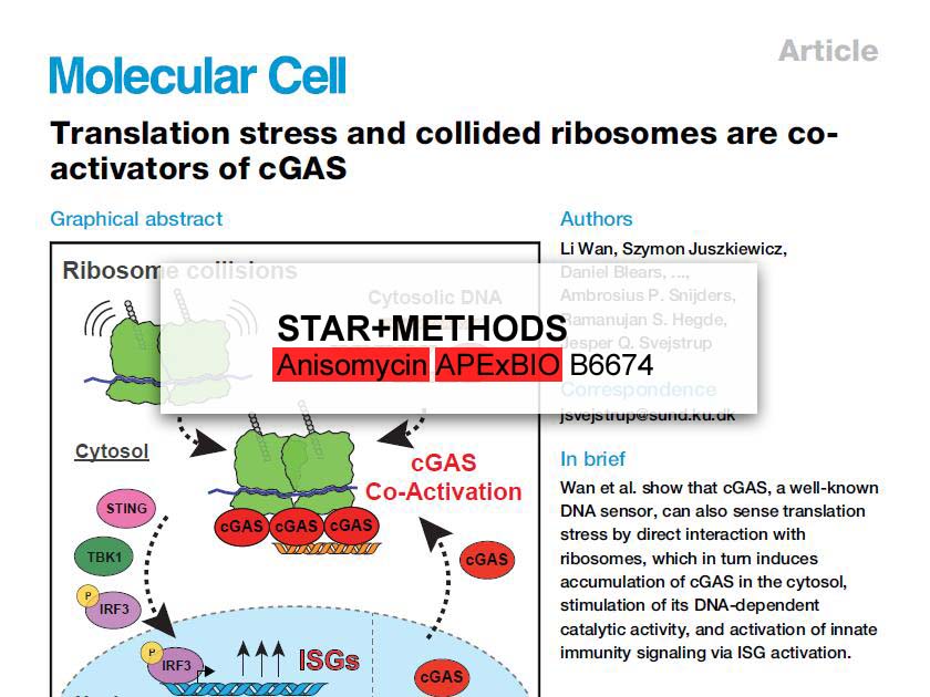 Anisomycin - Protein Synthesis Inhibitor for Research | APExBIO