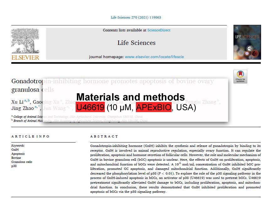 U 46619 - Thromboxane Receptor Agonist for Signaling Research | APExBIO