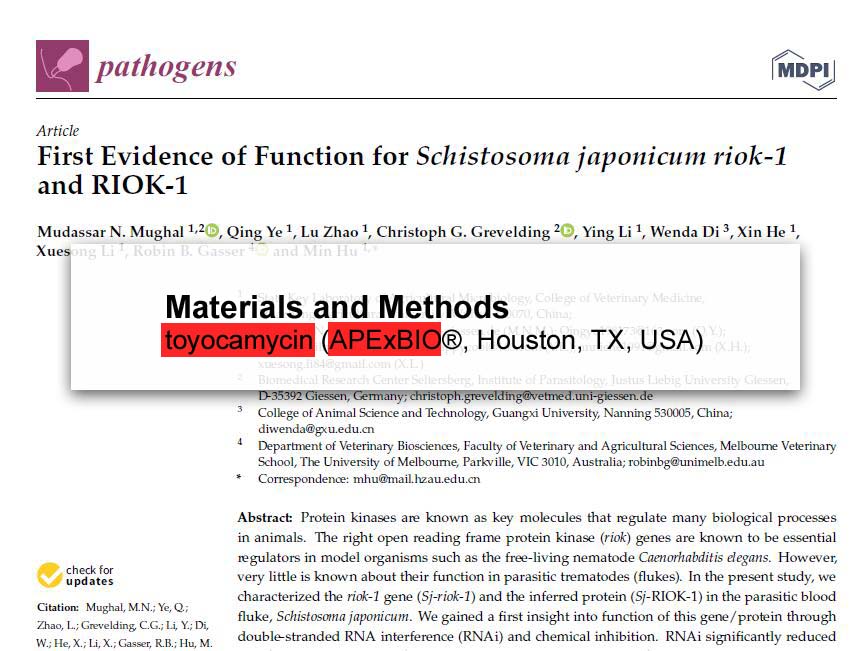 美国APExBIO中文官网 - Toyocamycin|Adenosine analog,antitumor antibiotic|CAS ...