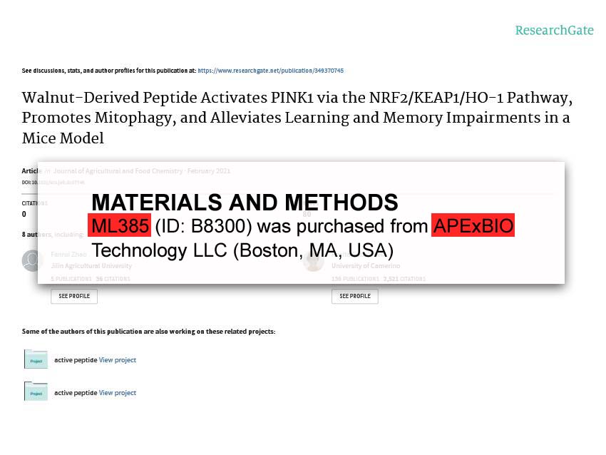 ML385 - Nrf2 Pathway Inhibitor for Cancer Research | APExBIO