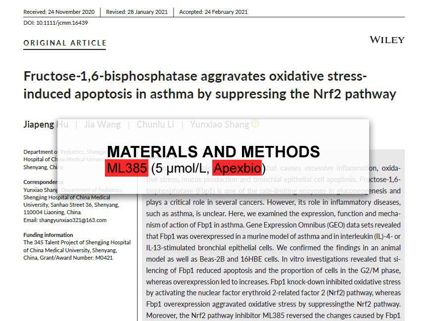 ML385 - Nrf2 Pathway Inhibitor for Cancer Research | APExBIO