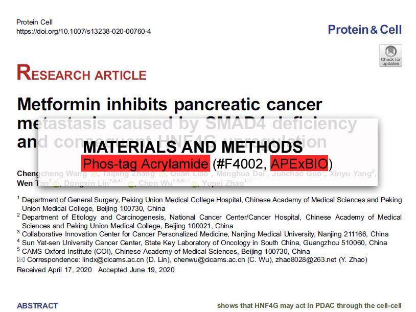 Phos binding reagent (Phosbind) acrylamide - Phosphoprotein Detection ...