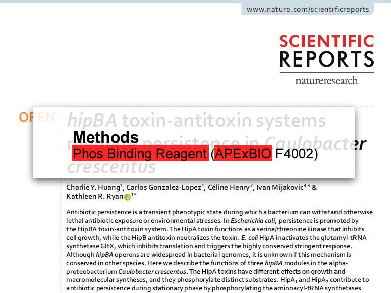 Phos binding reagent (Phosbind) acrylamide - Phosphoprotein Detection ...