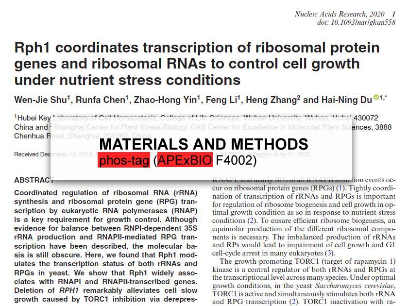 Phos binding reagent (Phosbind) acrylamide - Phosphoprotein Detection ...