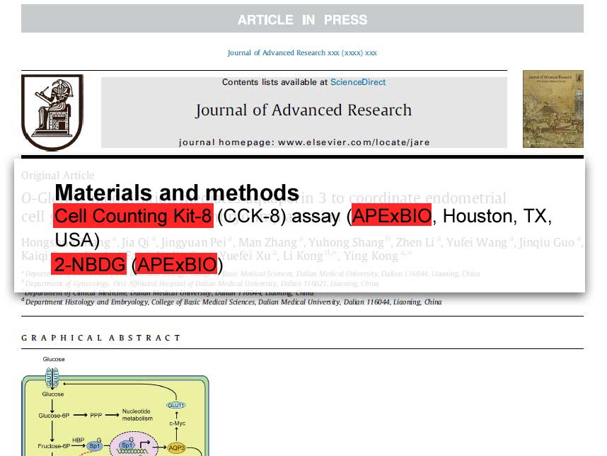 Cell Counting Kit-8 (CCK-8) - Cell Viability Assay | APExBIO