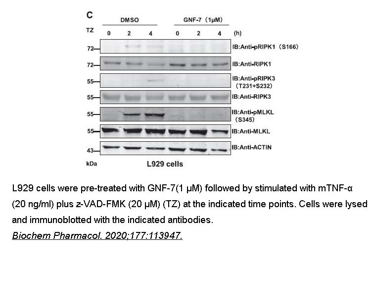 美国APExBIO中文官网 - Z-VAD-FMK | Pan-Caspase抑制剂 | Cas# 187389-52-2