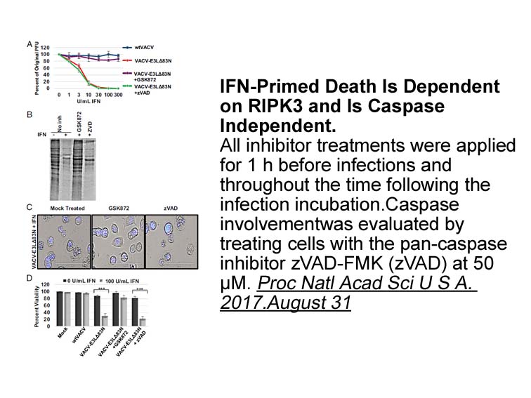 Z-VAD-FMK | Pan-caspase inhibitor, cell-permeable, irreversible | Cas ...