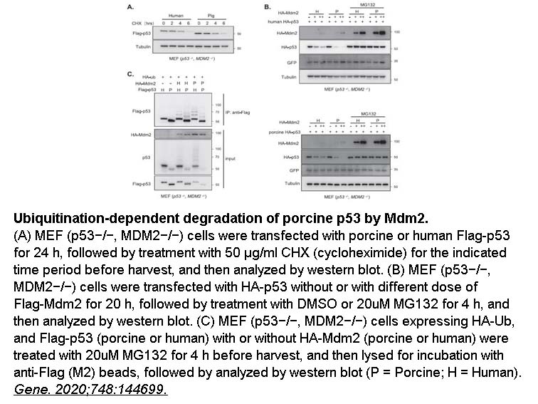 美国APExBIO中文官网 - MG-132|Proteasome inhibitor, Cell permeable, reversible|CAS# 133407-82-6