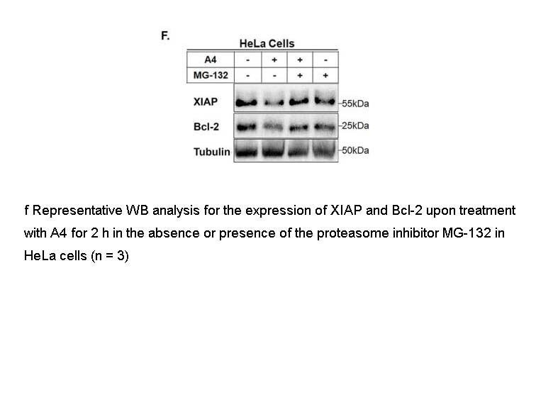 美国APExBIO中文官网 - MG-132|Proteasome inhibitor, Cell permeable, reversible ...