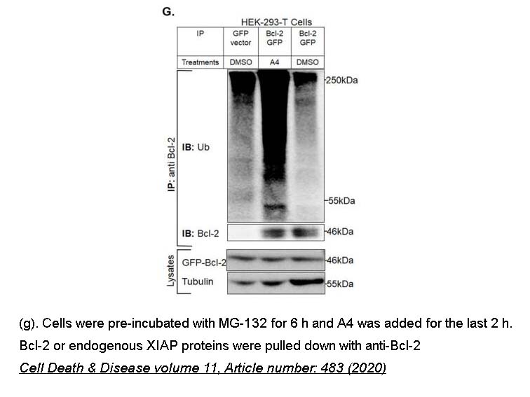 美国APExBIO中文官网 - MG-132|Proteasome inhibitor, Cell permeable, reversible|CAS# 133407-82-6