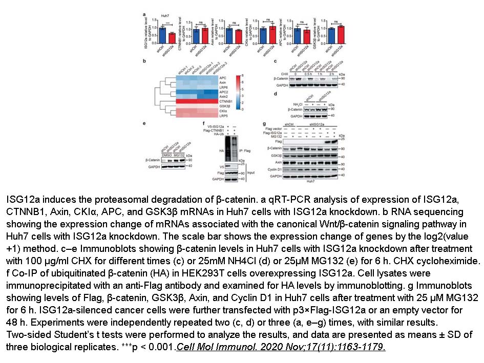 美国APExBIO中文官网 - MG-132|Proteasome inhibitor, Cell permeable, reversible ...