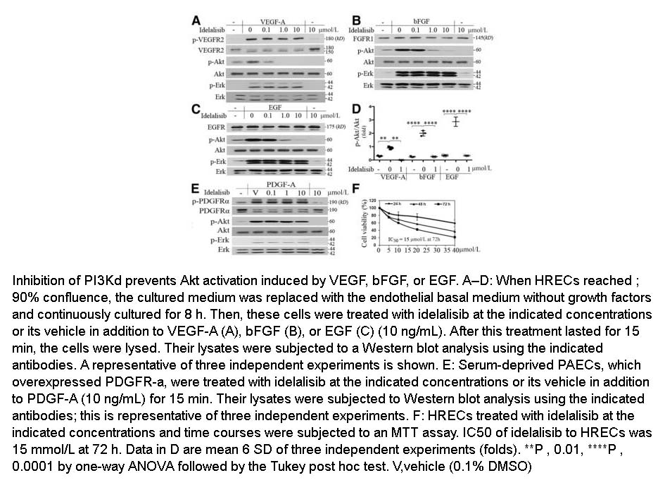 APExBIO - CAL-101 (Idelalisib, GS-1101)|PI3K inhibitor|CAS# 870281-82-6