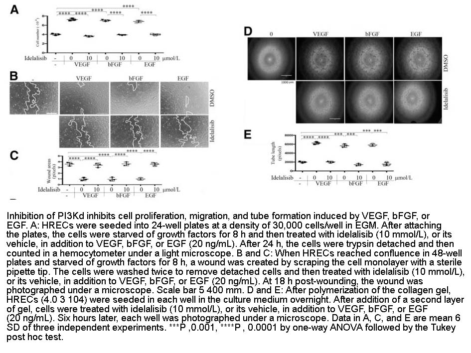 美国APExBIO中文官网 - CAL-101 (Idelalisib, GS-1101)|PI3K inhibitor|CAS ...