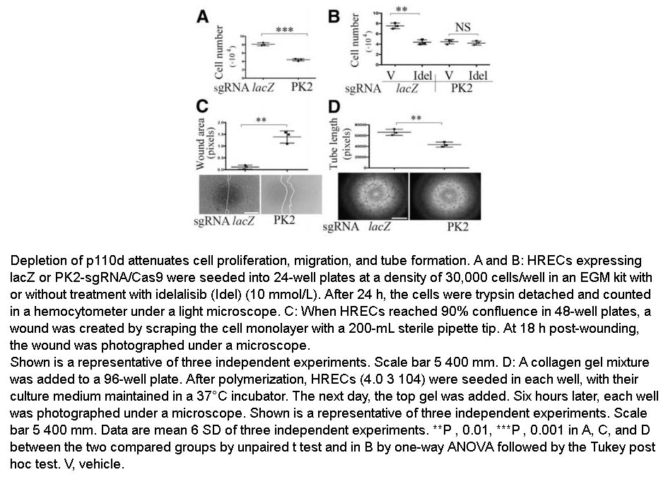 美国APExBIO中文官网 - CAL-101 (Idelalisib, GS-1101)|PI3K inhibitor|CAS ...