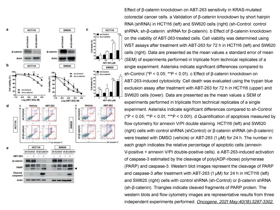 APExBIO - ABT-263 (Navitoclax) | Potent Bcl-2 family inhibitor ...