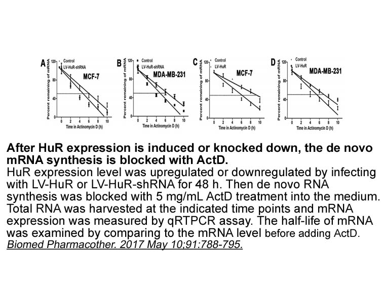 Actinomycin D|RNA polymerase inhibitor|CAS# 50-76-0