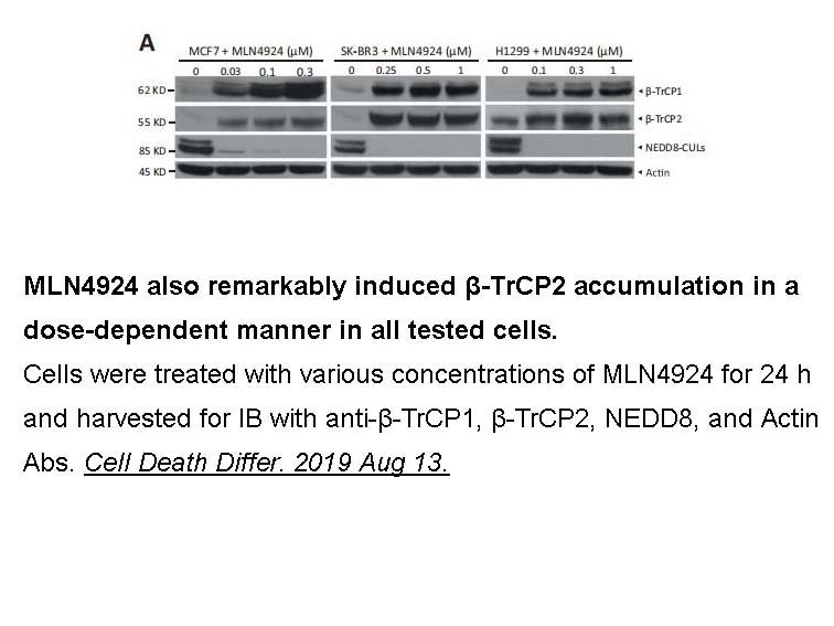 美国APExBIO中文官网 - MLN4924|NAE inhibitor|CAS# 905579-51-3