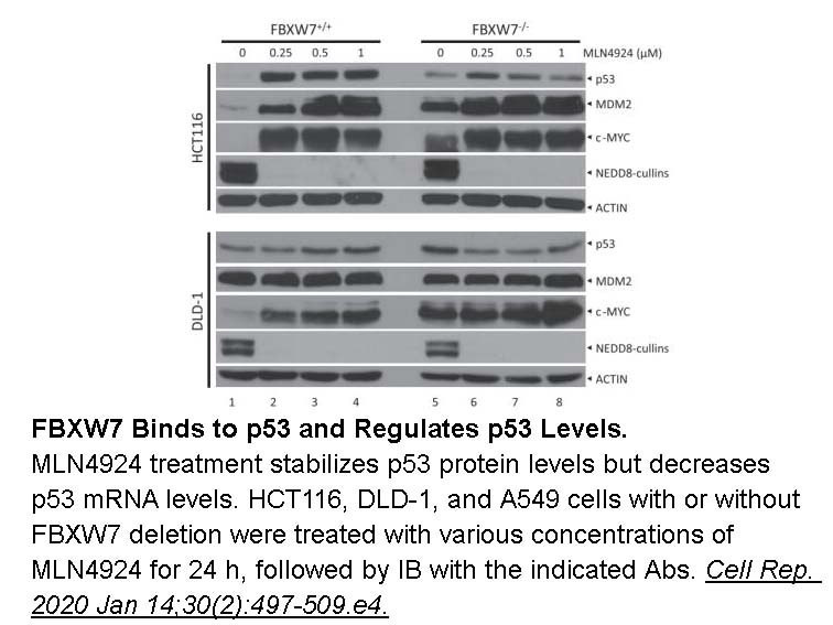 美国APExBIO中文官网 - MLN4924|NAE inhibitor|CAS# 905579-51-3