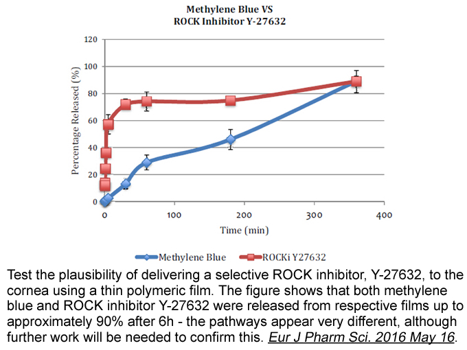 Y-27632|ROCK inhibitor,potent and selective|CAS# 146986-50-7