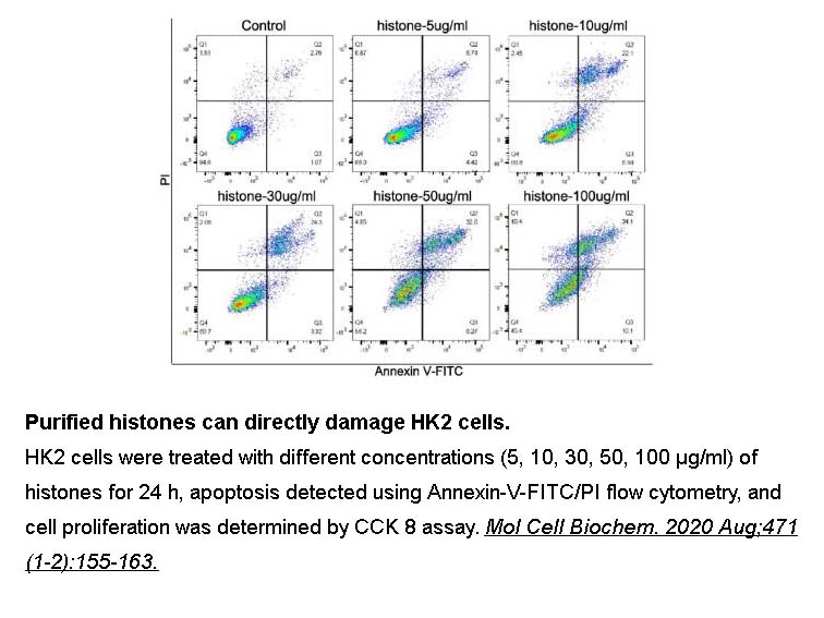 APExBIO - Cell Counting Kit-8 (CCK-8)